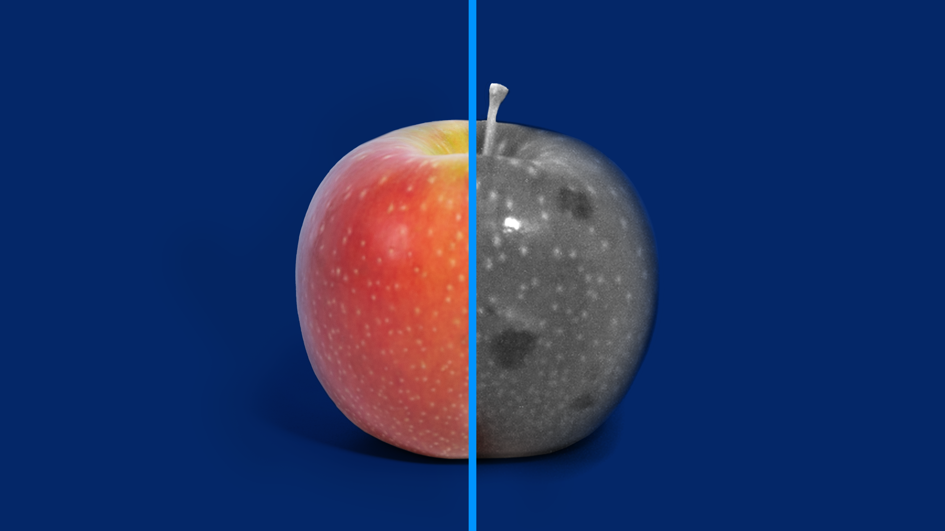 Basler: Machine Vision Expert | Basler AG