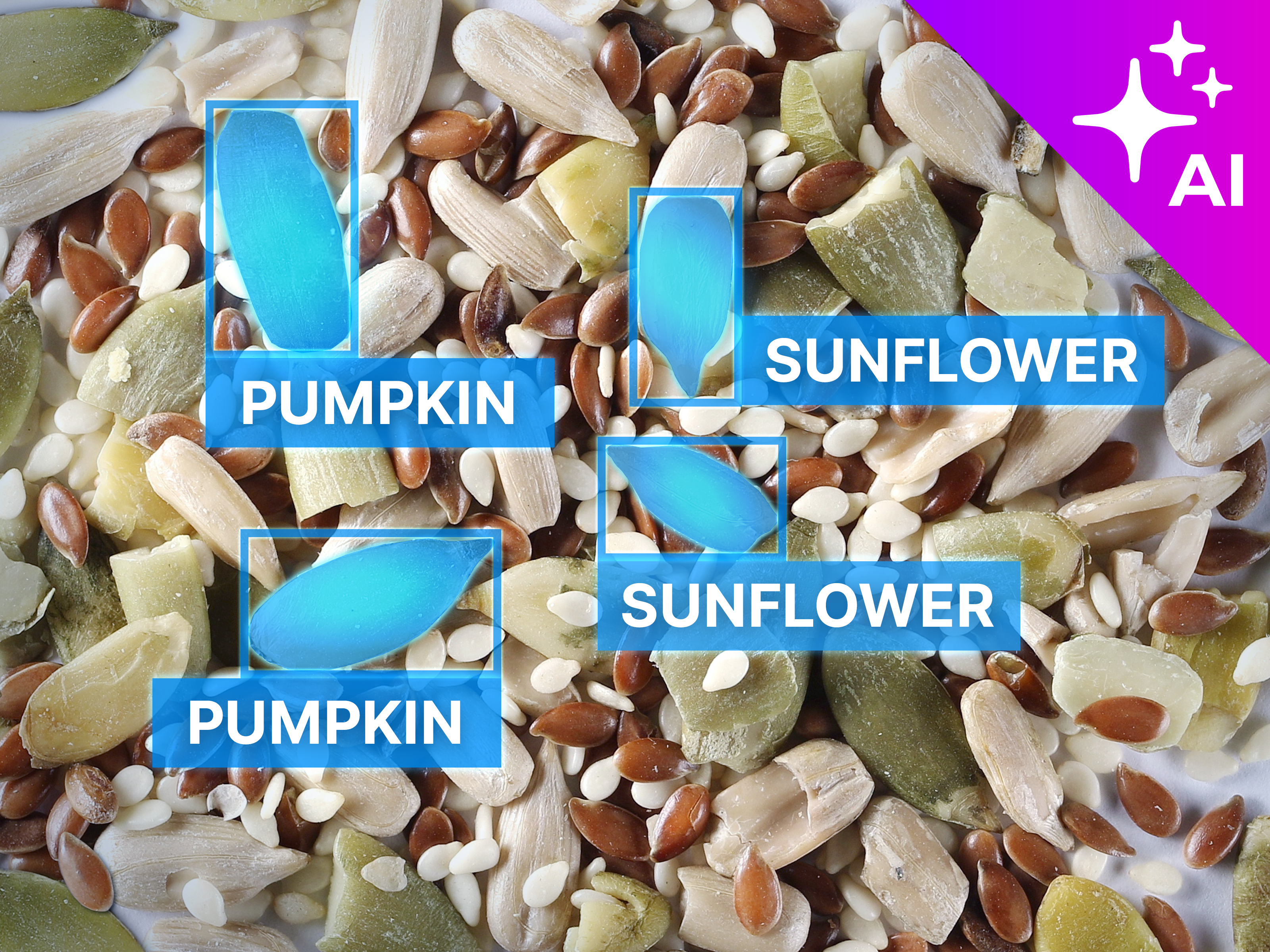 pylon vTool Instance Segmentation | Basler AG