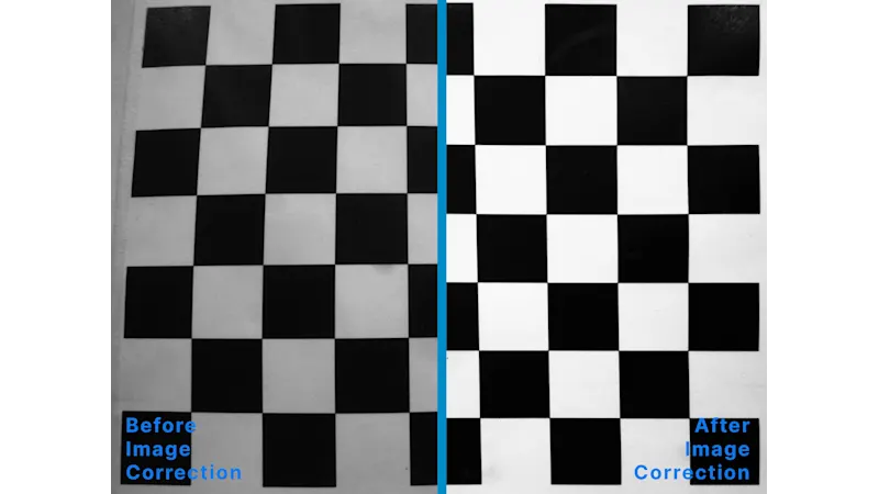 Lens Geometric Distortion Correction Basler Ag