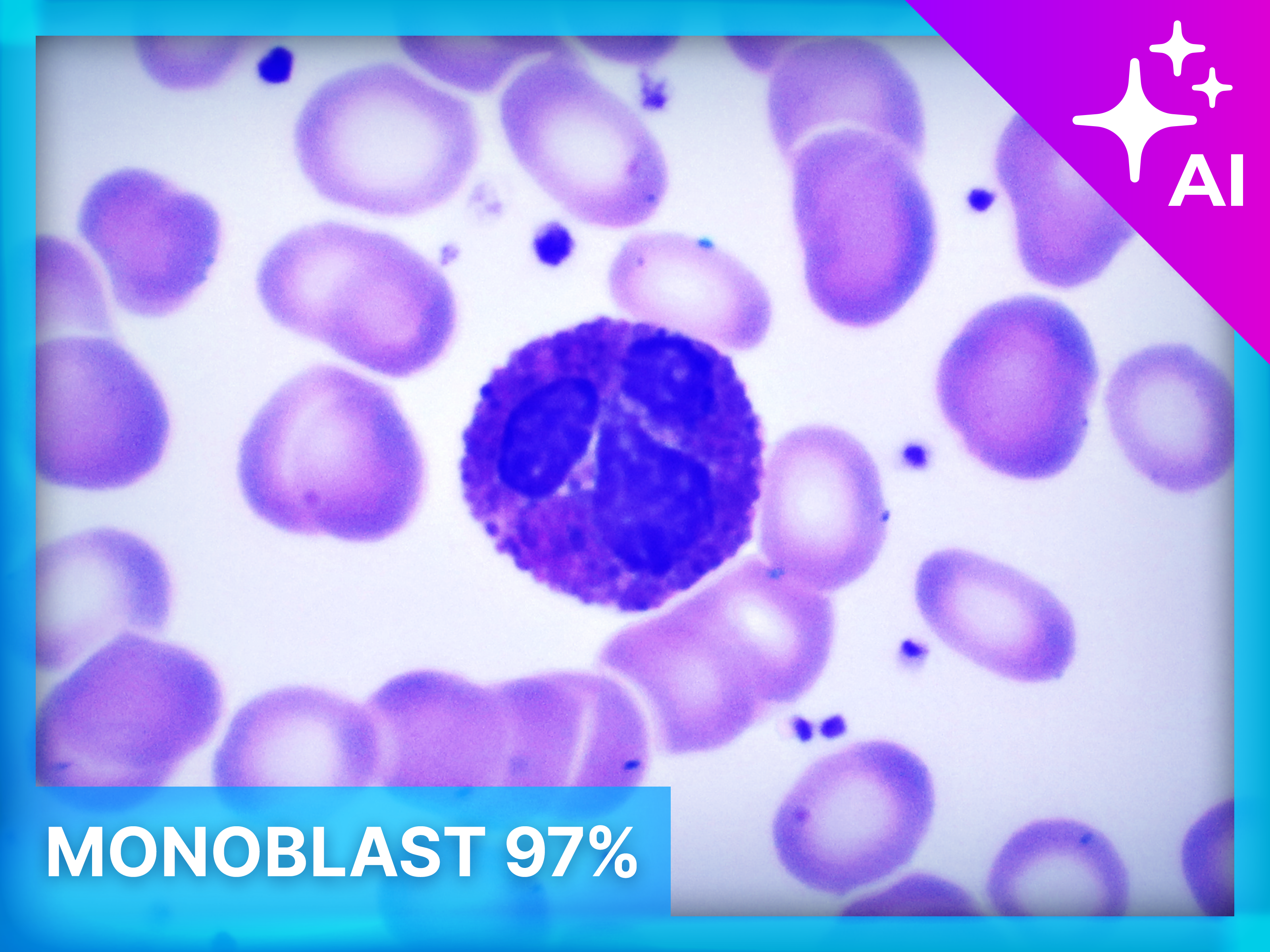 pylon vTool Classification | Basler AG