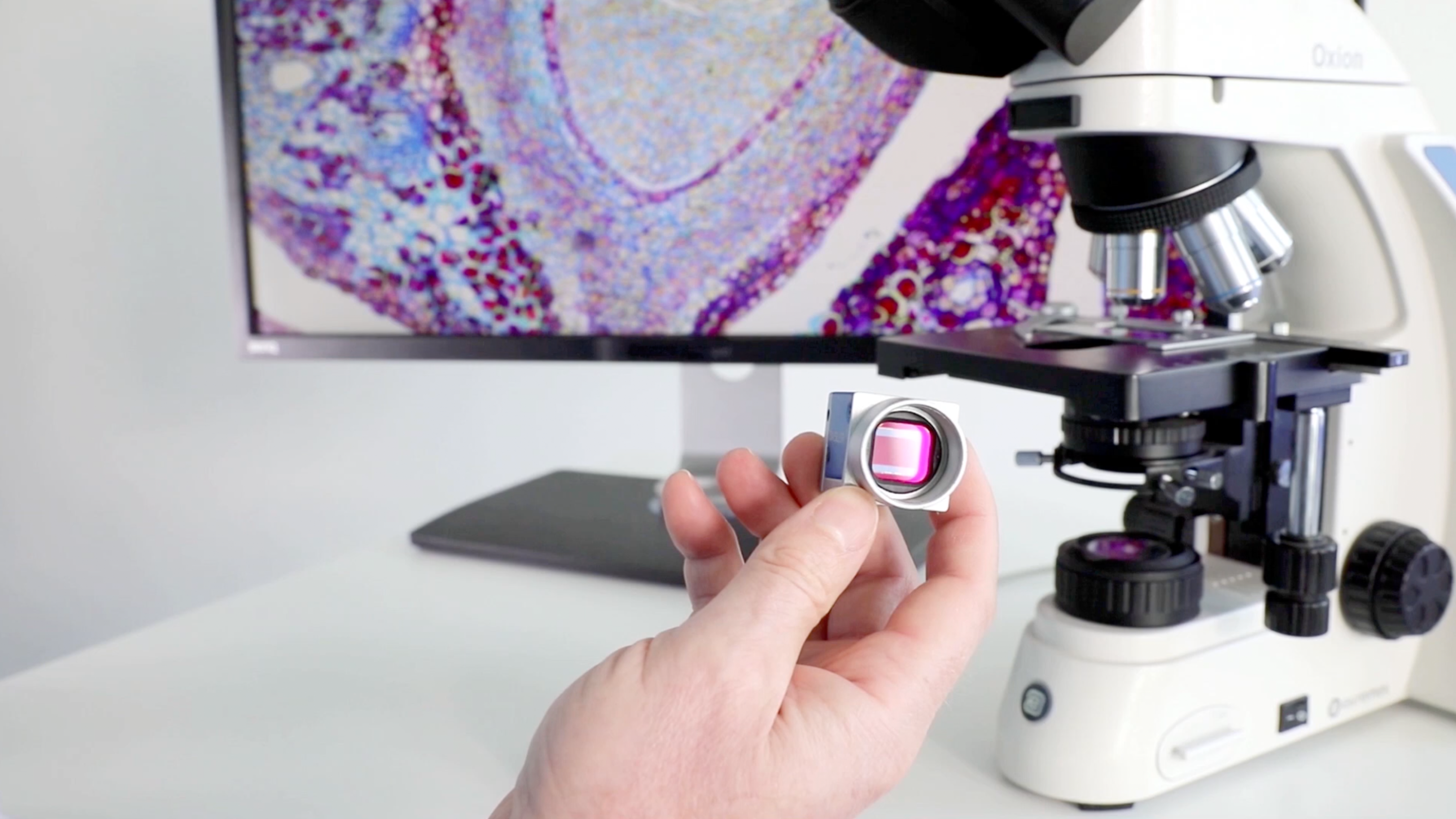 Vision solutions for microscopy | Basler AG